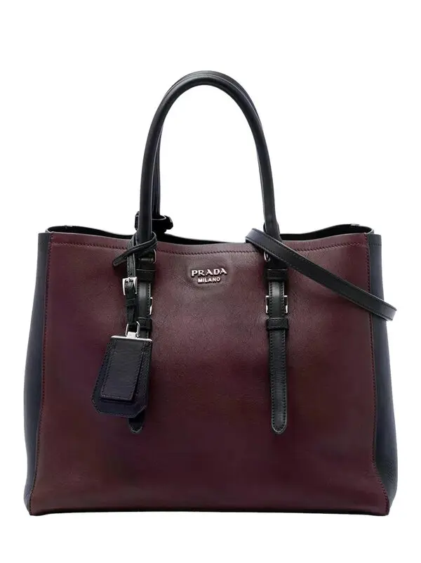 Prada 2013-2026 Medium Bicolor City Calf Double Satchel - Red