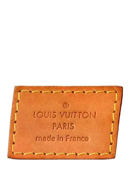 LOUIS VUITTON Palermo Handbag Monogram Canvas Pm Tote Bag - Brown