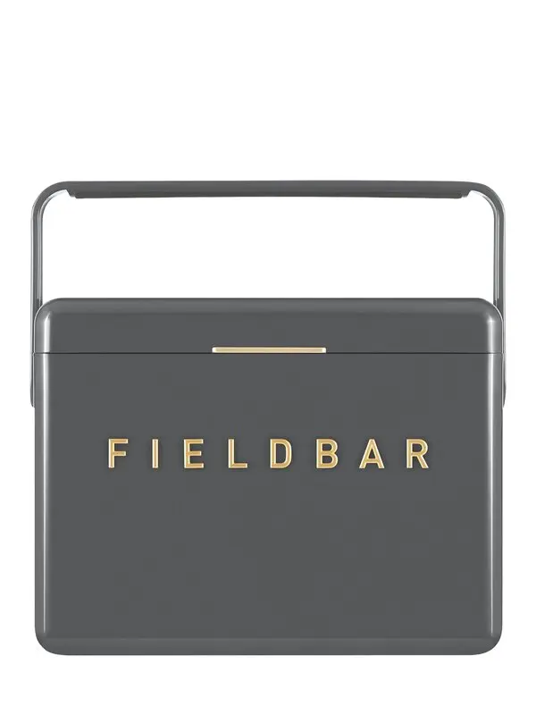 FIELDBAR Mini Bar Cooler Box With Leather Sling - Grey