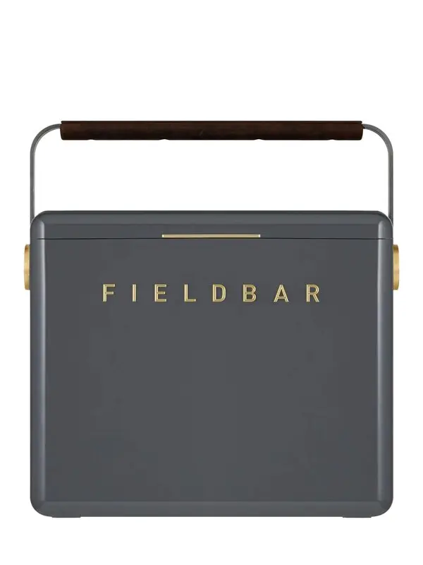 FIELDBAR Gin Trunk Cooler Box With Hoop Handle - Grey