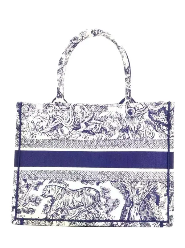 Dior Book Embroidered Canvas Medium Tote Bag - Blue
