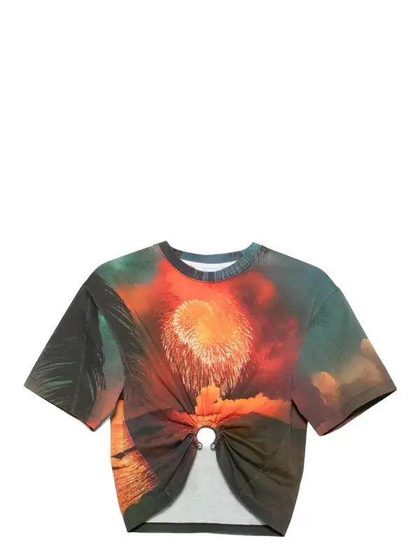 Rabanne Fireworks Print Cropped T-shirt - Orange