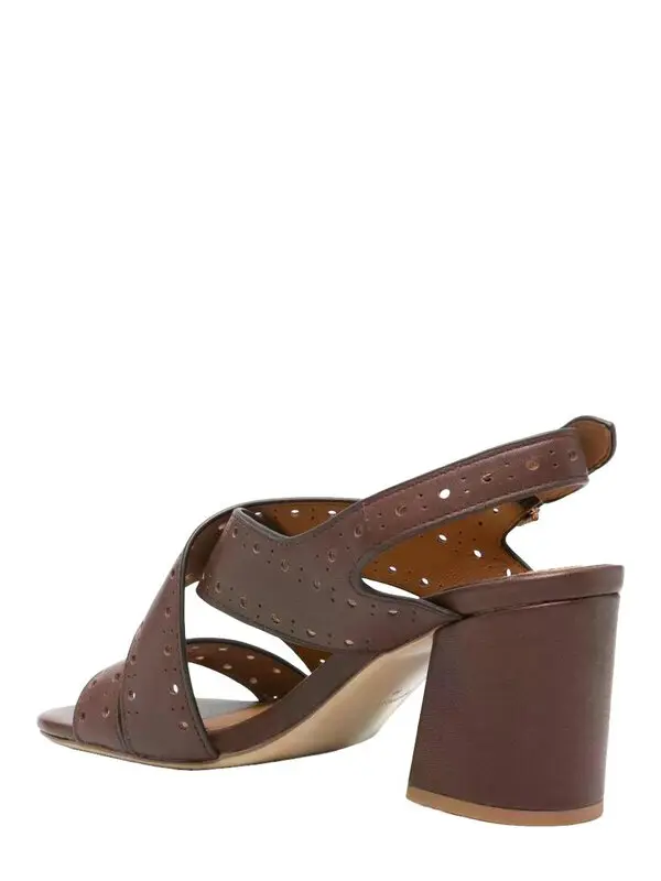 BRUNO PREMI Criss-cross Perforated Leather Sandals - Brown