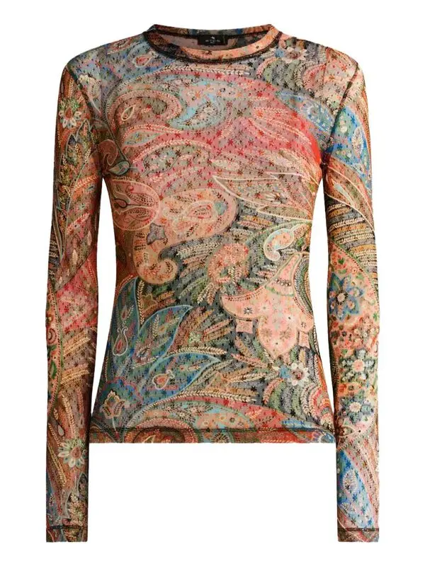 Etro Paisley Tulle Long-sleeve Top - Multicolour