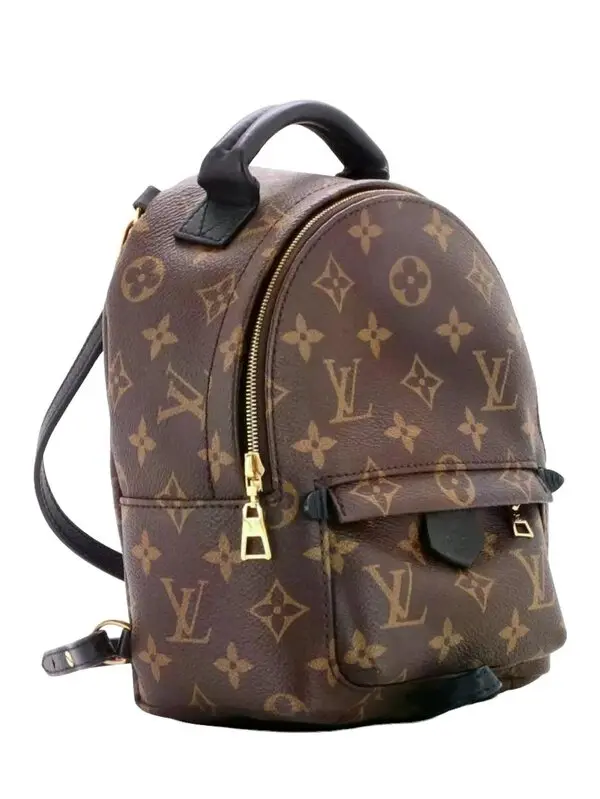 LOUIS VUITTON Palm Springs Monogram Canvas Mini Backpack - Brown