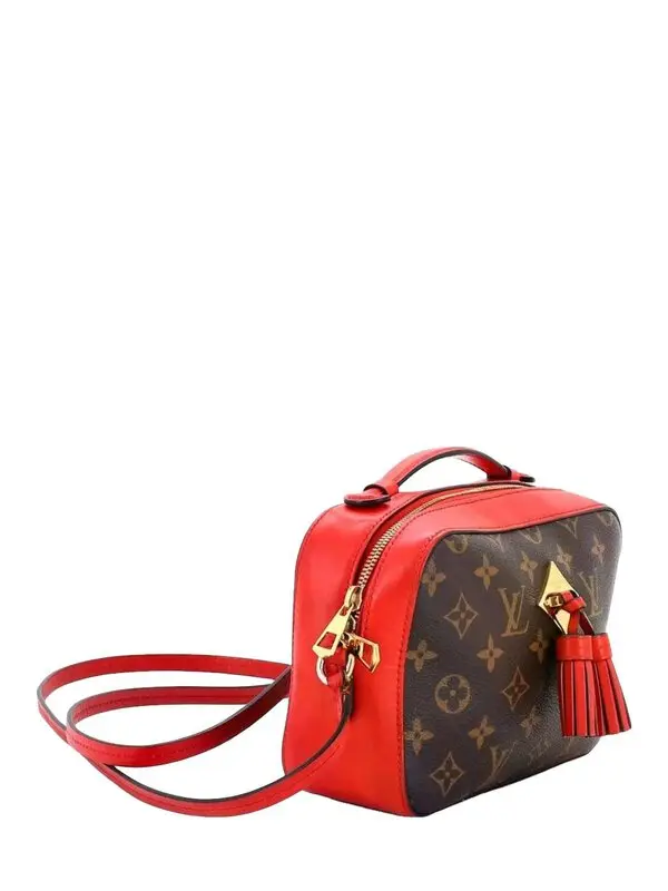 LOUIS VUITTON Saintonge Handbag Monogram Canvas With Leather Crossbody Bag - Brown