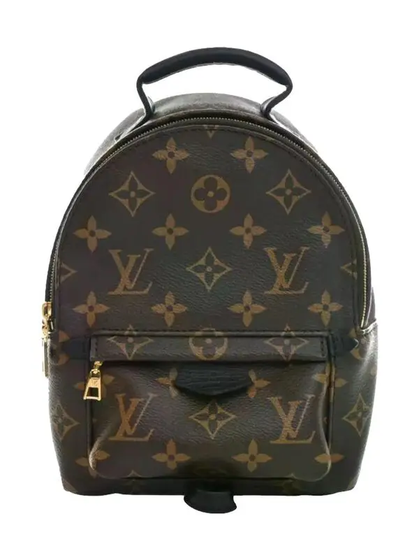 LOUIS VUITTON 2000-2026 Monogram Mini Palm Springs Backpack - Brown