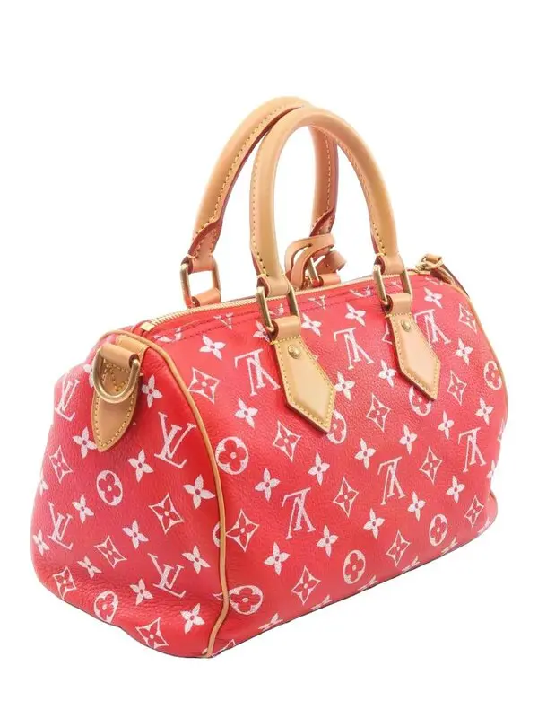 LOUIS VUITTON Speedy 25 Bandoulière Handbag - Red