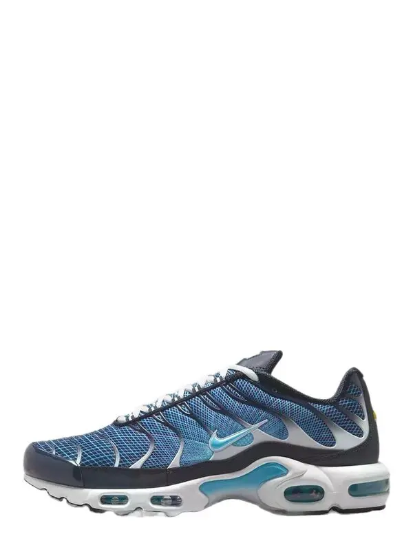 Nike Air Max Plus Sneakers - Blue