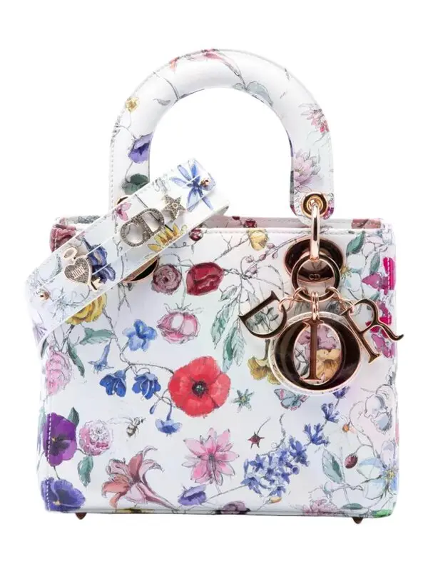Dior Lady Satchel - Multicolour