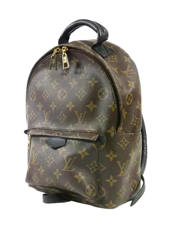 LOUIS VUITTON Palm Springs Monogram Backpack - Brown