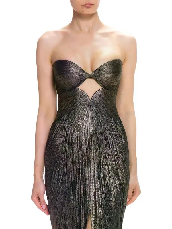 MARIA LUCIA HOHAN Stephanie Strapless Cut-out Pleated Maxi Dress - Brown