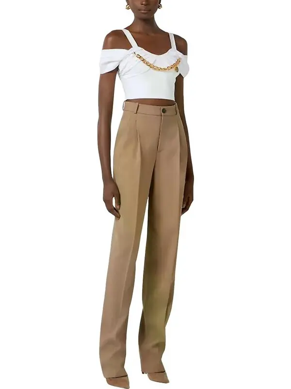 Elisabetta Franchi Pleated Trousers - Brown