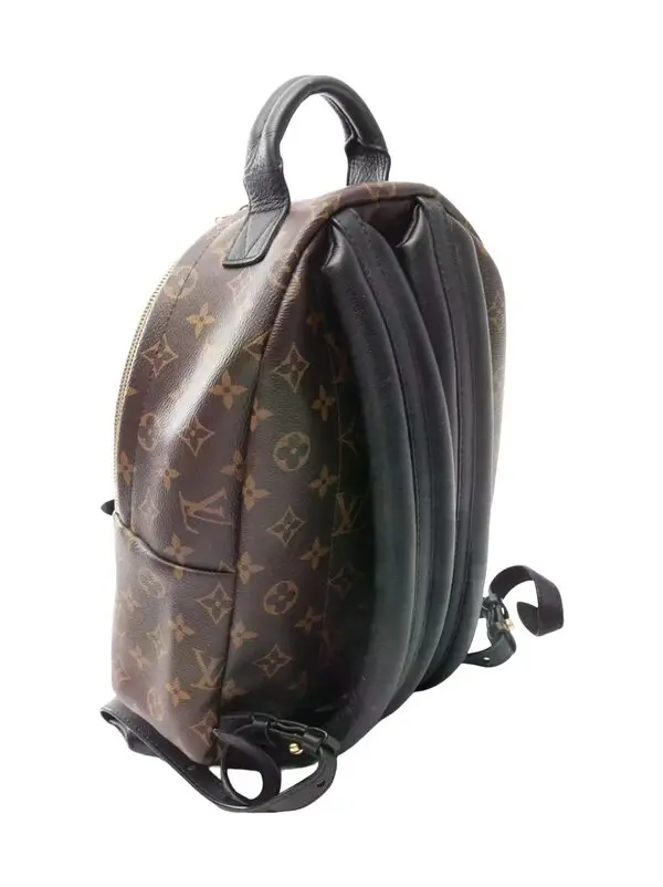 LOUIS VUITTON 2020 Monogram Reverse Palm Springs Pm Backpack - Brown