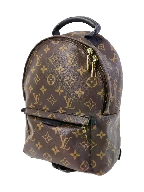 LOUIS VUITTON Palm Springs Monogram Backpack - Brown