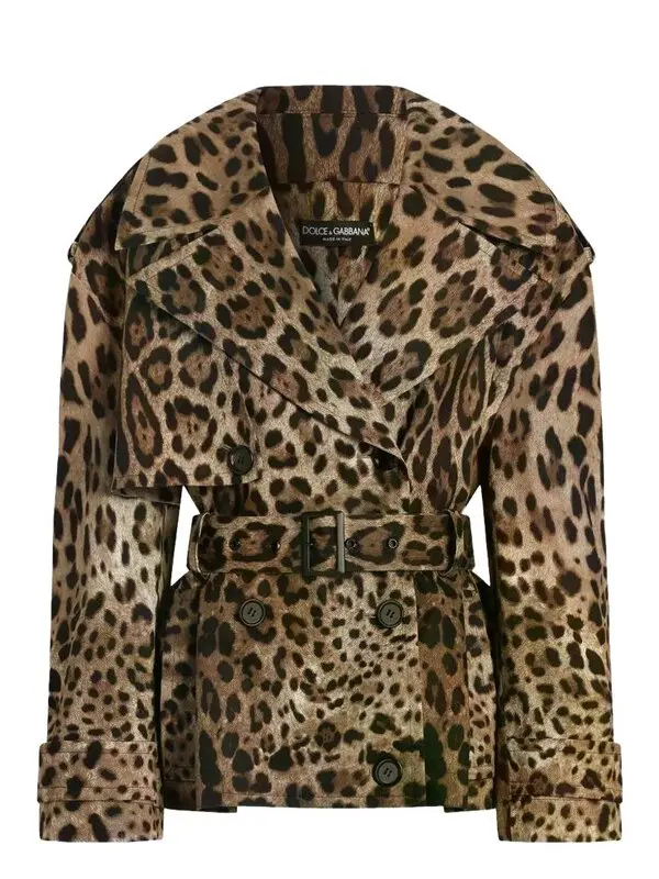 Dolce & Gabbana Leo-print Cotton Drill Jacket - Neutrals