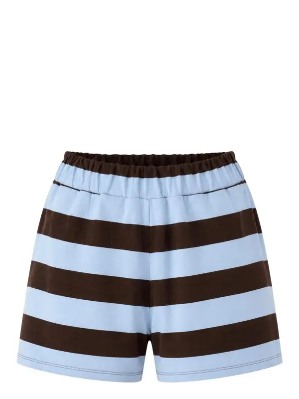 Mind Traveler Chocolate Brown Striped Shorts - Blue