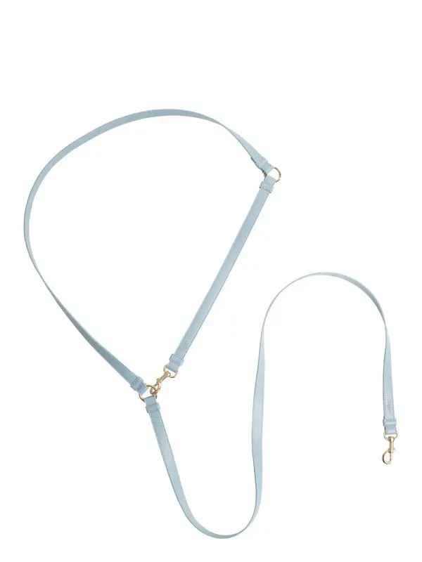 ALECOO Classy Dog Leash Adjustable Ice Gold - Blue