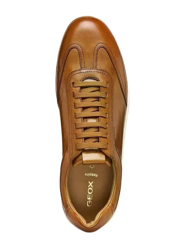 Geox Regio Leather Sneakers - Brown