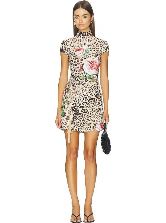 Roberto Cavalli Dress In . Also - Multi