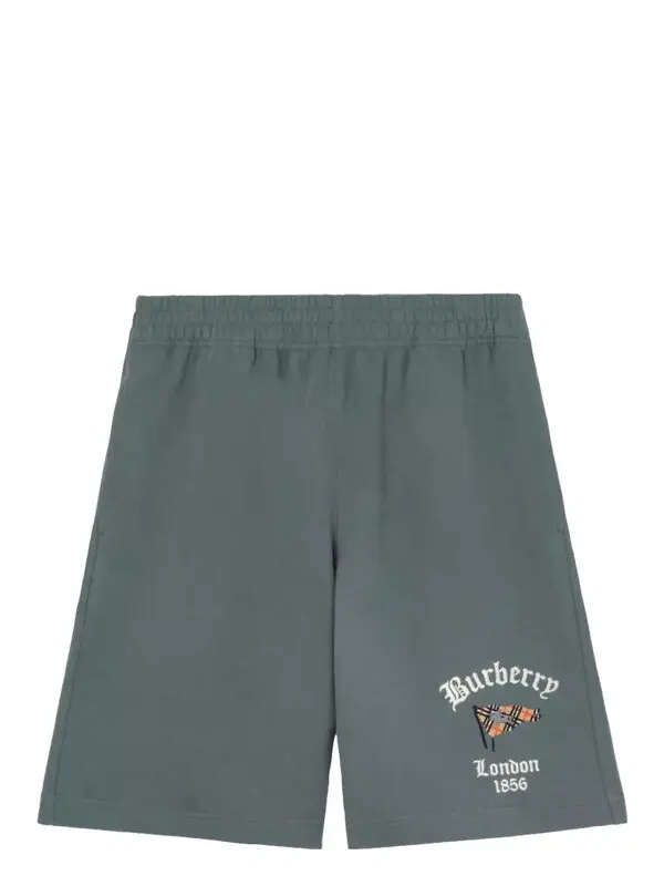 Burberry Check-flag Cotton Shorts - Blue