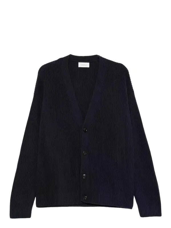 DIANA STUDIO Ribbed-knit V-neck Cardigan - Blue