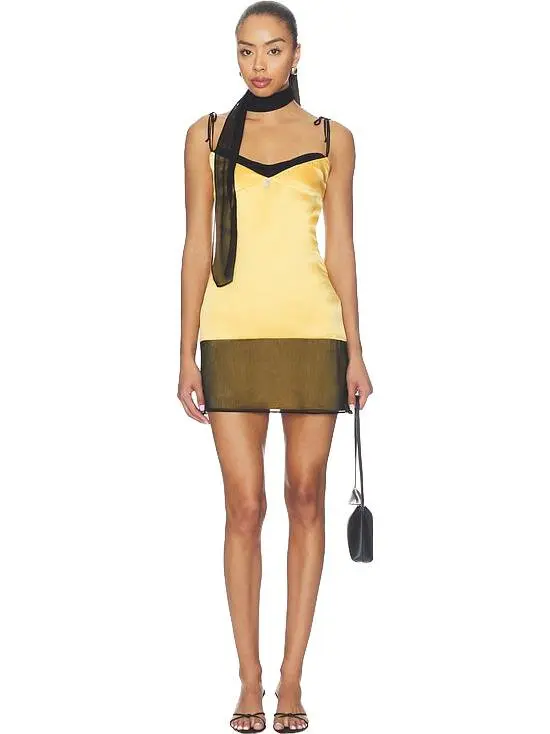 BUCI Chinchilla Mini Dress In . Also - Yellow