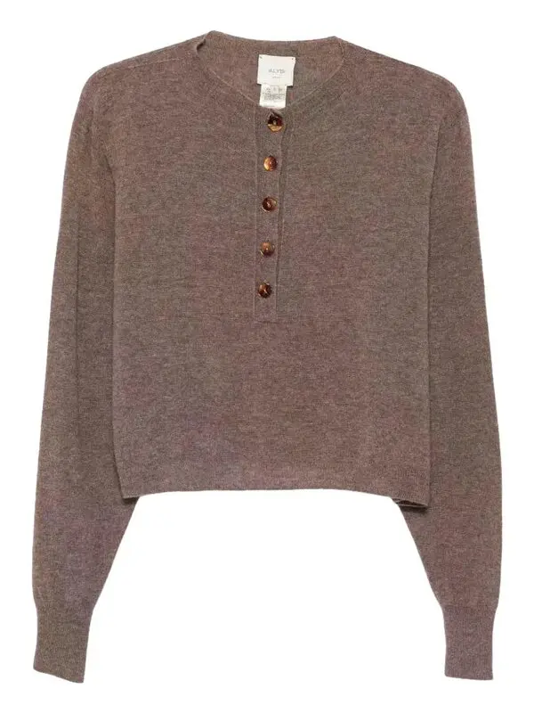 ALYSI Button-fastening Cropped Cardigan - Brown