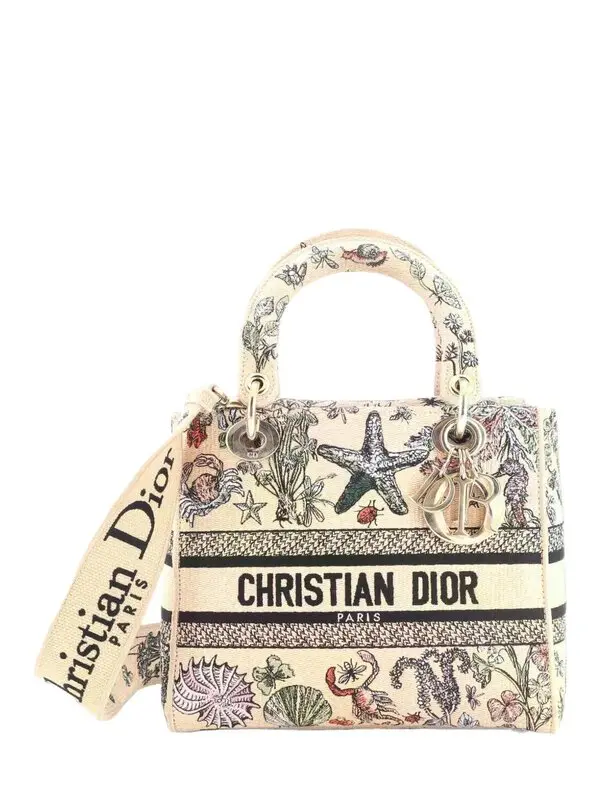 Dior Lady D-lite Bag Embroidered Raffia Medium Satchel - Neutrals