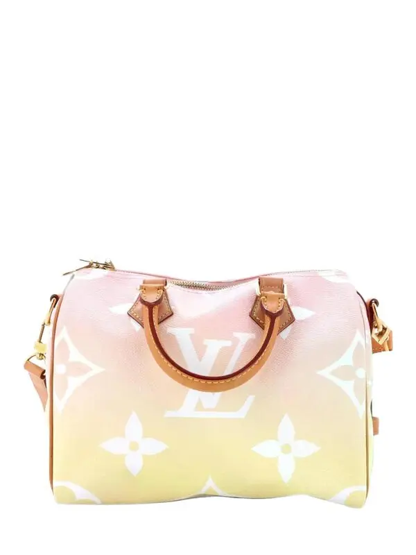 LOUIS VUITTON Speedy Bandouliere Bag The Pool Monogram Giant 25 Satchel - Multicolour