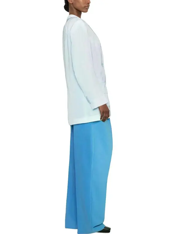 Sportmax Fitted Double-breasted Button Blazer - Blue