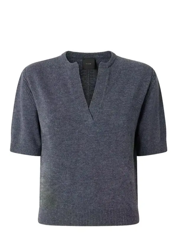Pinko Short-sleeve V-neck Sweater - Charcoal