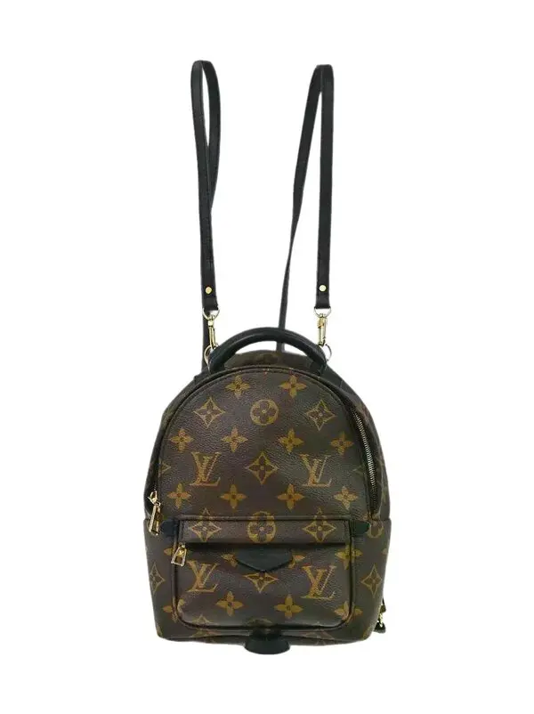 LOUIS VUITTON 2019 Mini Palm Springs Backpack - Brown