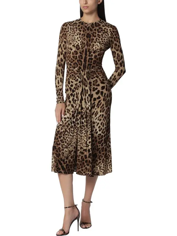 Dolce & Gabbana Leopard-print Viscose Jersey Dress - Brown