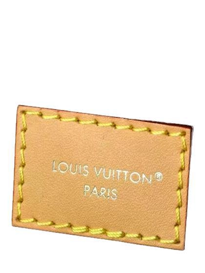 LOUIS VUITTON Bum Bag Monogram Canvas Mini Belt Bag - Brown