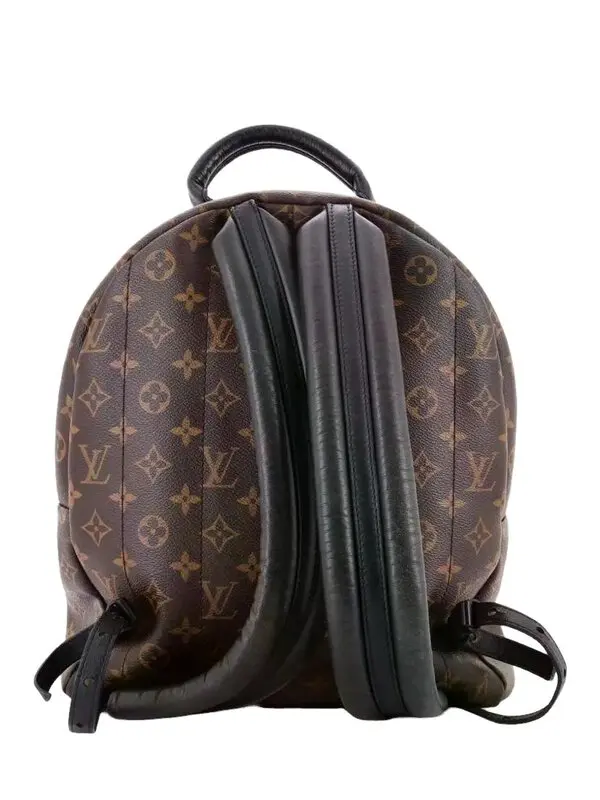 LOUIS VUITTON Palm Springs Monogram Canvas Mm Backpack - Brown