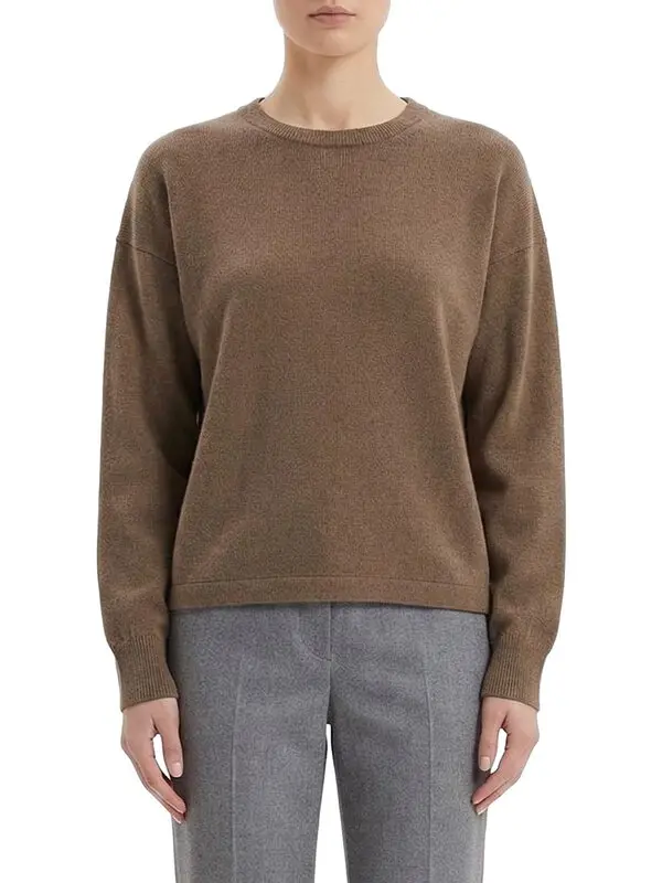 Max Mara Virgin Wool And Cashmere Crew-neck Pullover - Brown