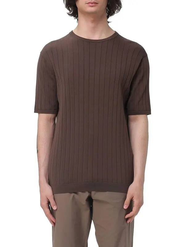 PEOPLE OF SHIBUYA Cotton Ribbed Crew Neck Sweater - Sage