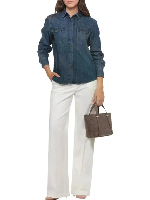 Peserico Classic Collar Cotton Button-down Shirt - Blue