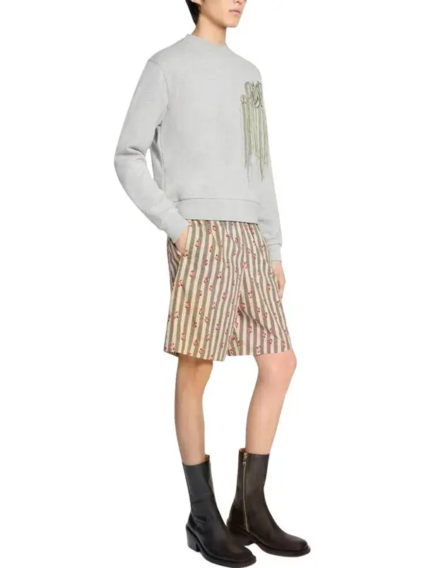 Dries Van Noten Cotton Poplin Shorts With Floral Stripe Print - Neutrals