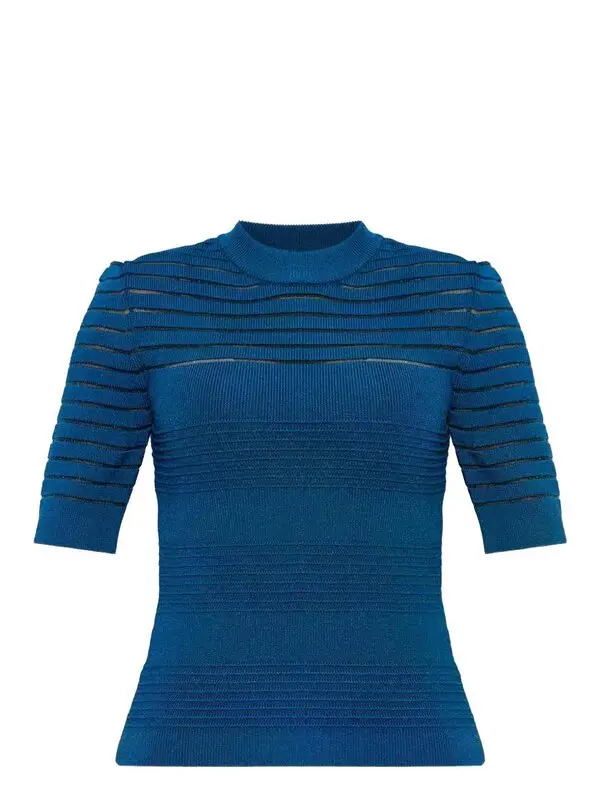Balmain Sheer Panelled Lion-head Button Top - Blue