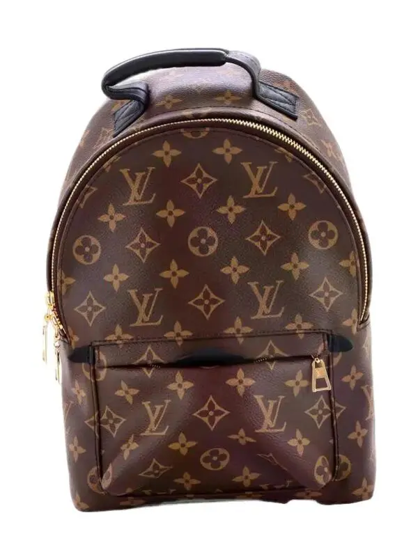 LOUIS VUITTON Palm Springs Monogram Canvas Pm Backpack - Brown
