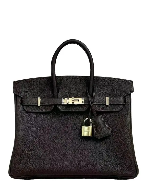 Hermès 2026 Birkin 25 Handbag - Brown