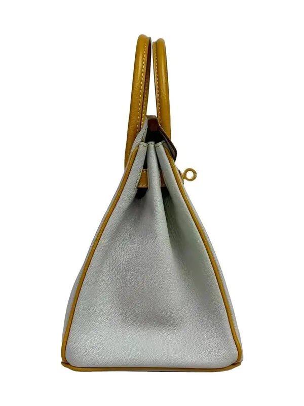 Hermès 2019 Birkin 25 Chèvre Mysore Handbag - Grey