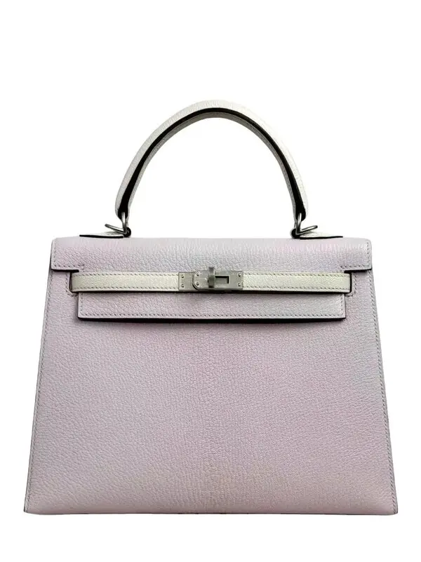 Hermès 2020 Kelly Sellier 25 Handbag - Neutrals