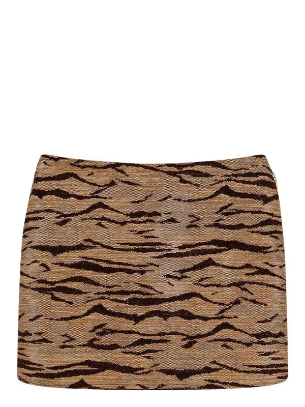 Elisabetta Franchi Embroidered Mini Skirt - Brown