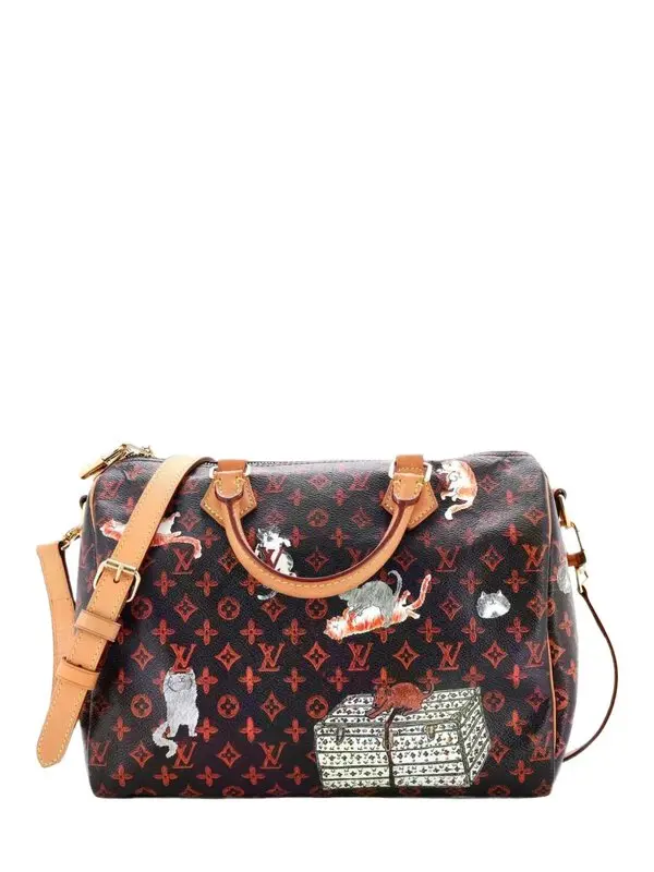 LOUIS VUITTON Speedy Bandouliere Bag Limited Edition Grace Coddington Catogram Canvas 30 Satchel - Brown