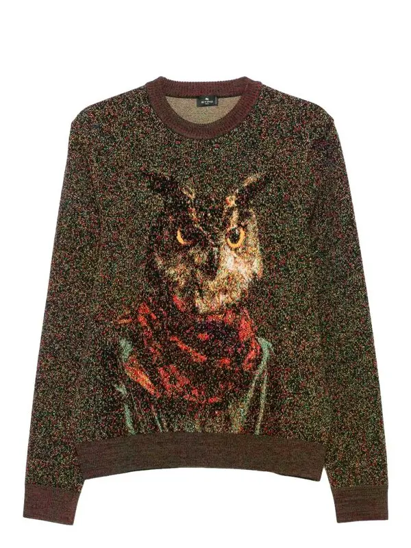 Etro Textured Knit Sweater With Owl Motif - Red