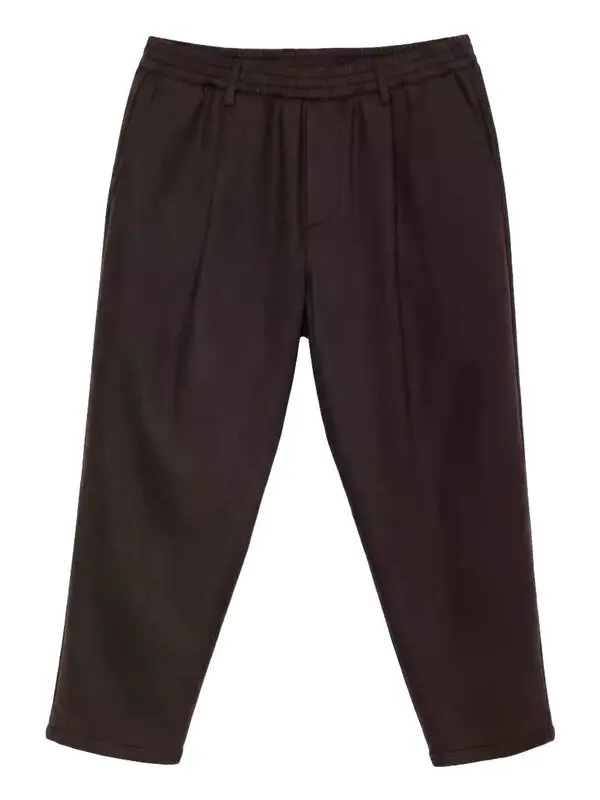 Eleventy Pleated Trousers With Elasticated Waistband - Brown