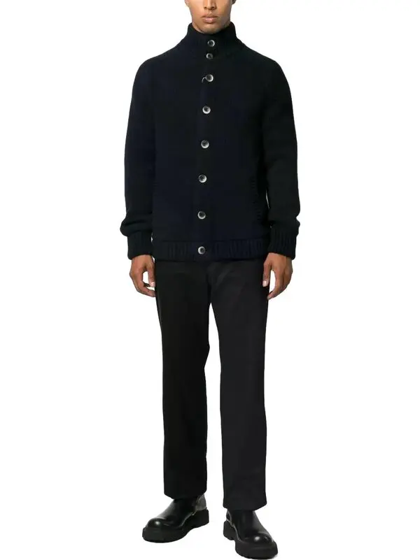 Herno Button-up Wool Cardigan - Blue
